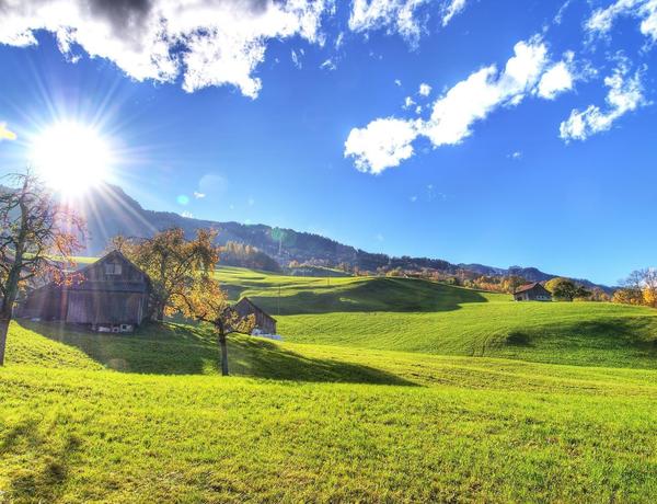 Şikayət necə yazılmalıdır?